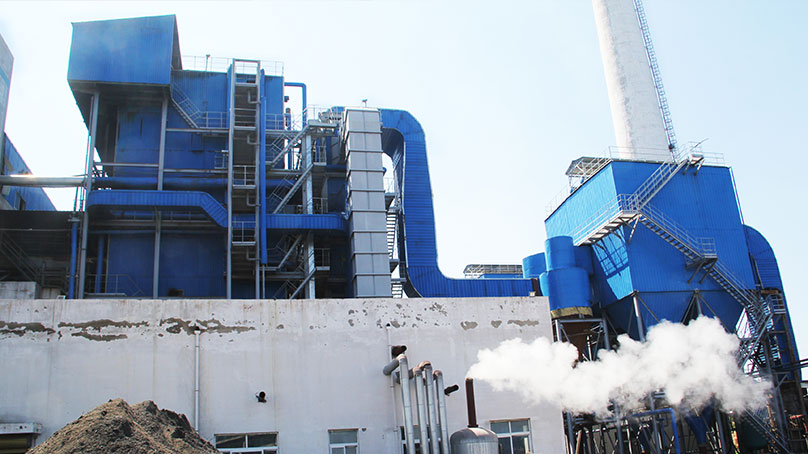 20t/h CFB Boiler - CFB Boiler - XinLi Boiler